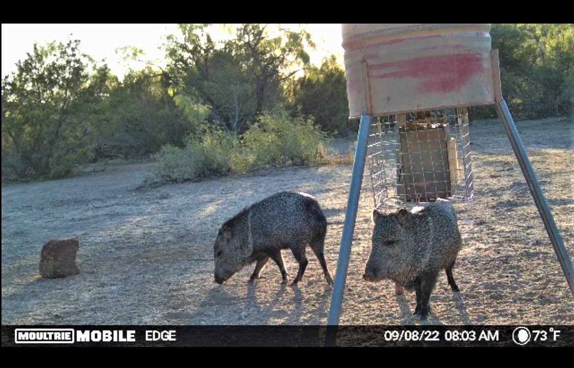 Big Tank Ranch | Lee, Lee & Puckitt Associates Inc.