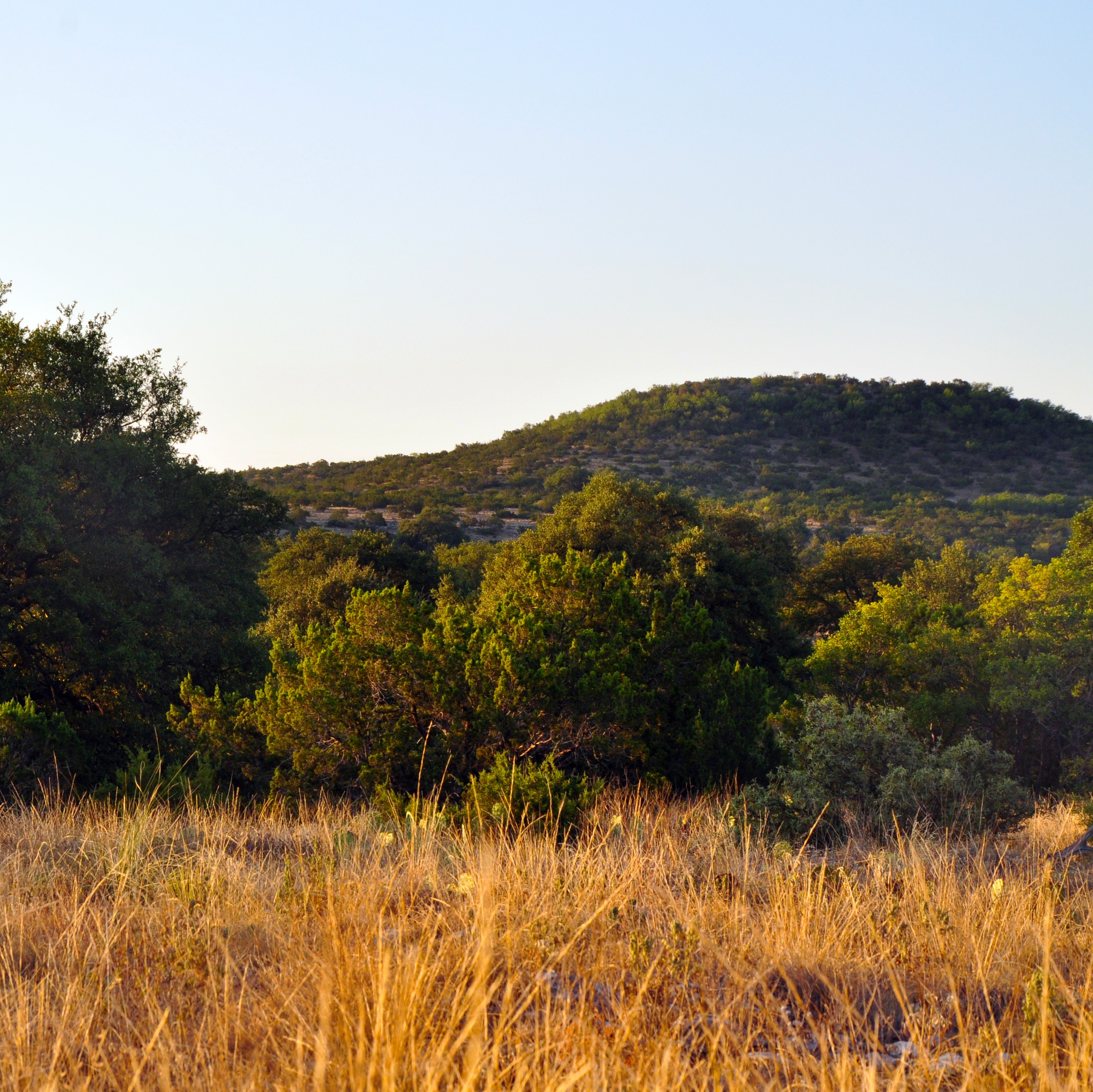 Broken B Ranch | Lee, Lee & Puckitt Associates, Inc.