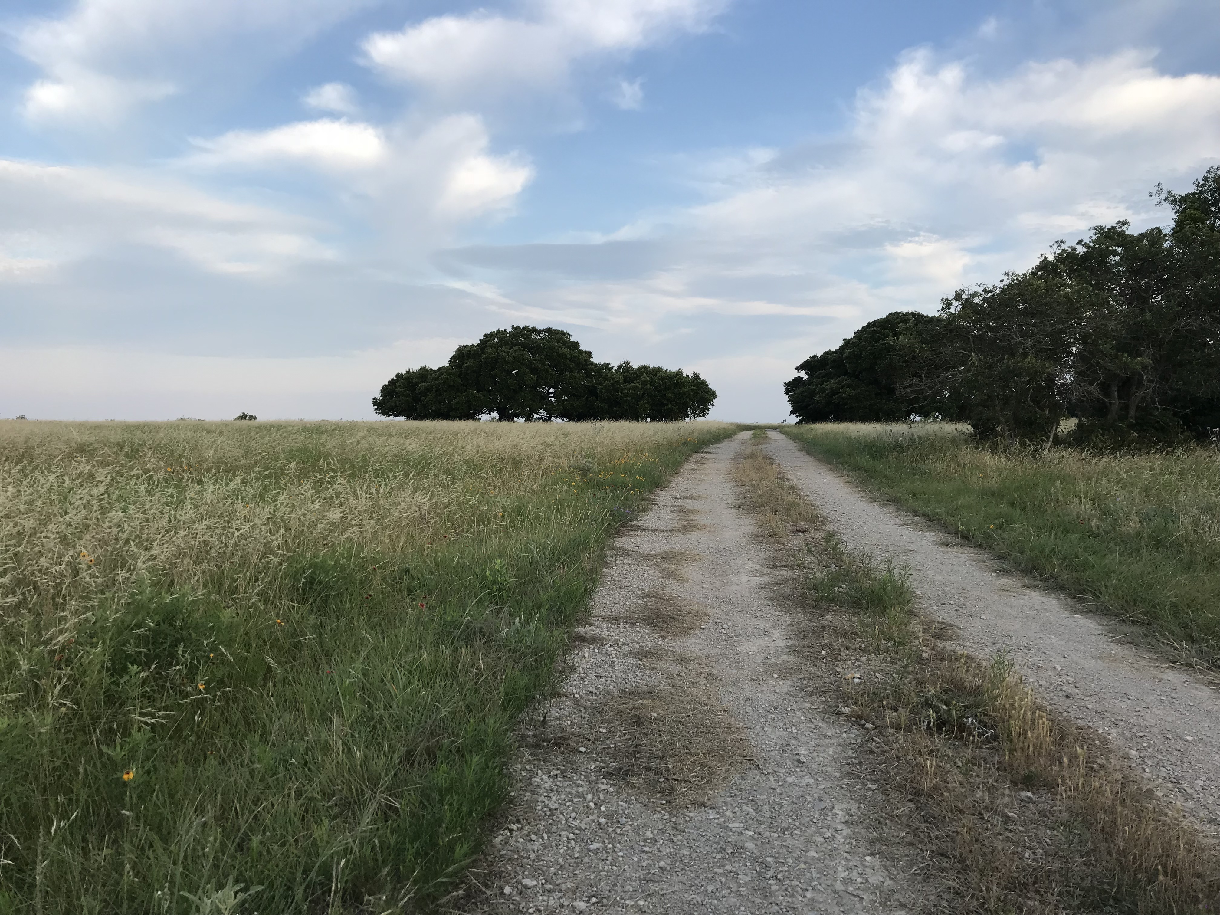 Comanche Springs Ranch | Lee, Lee & Puckitt Associates, Inc.
