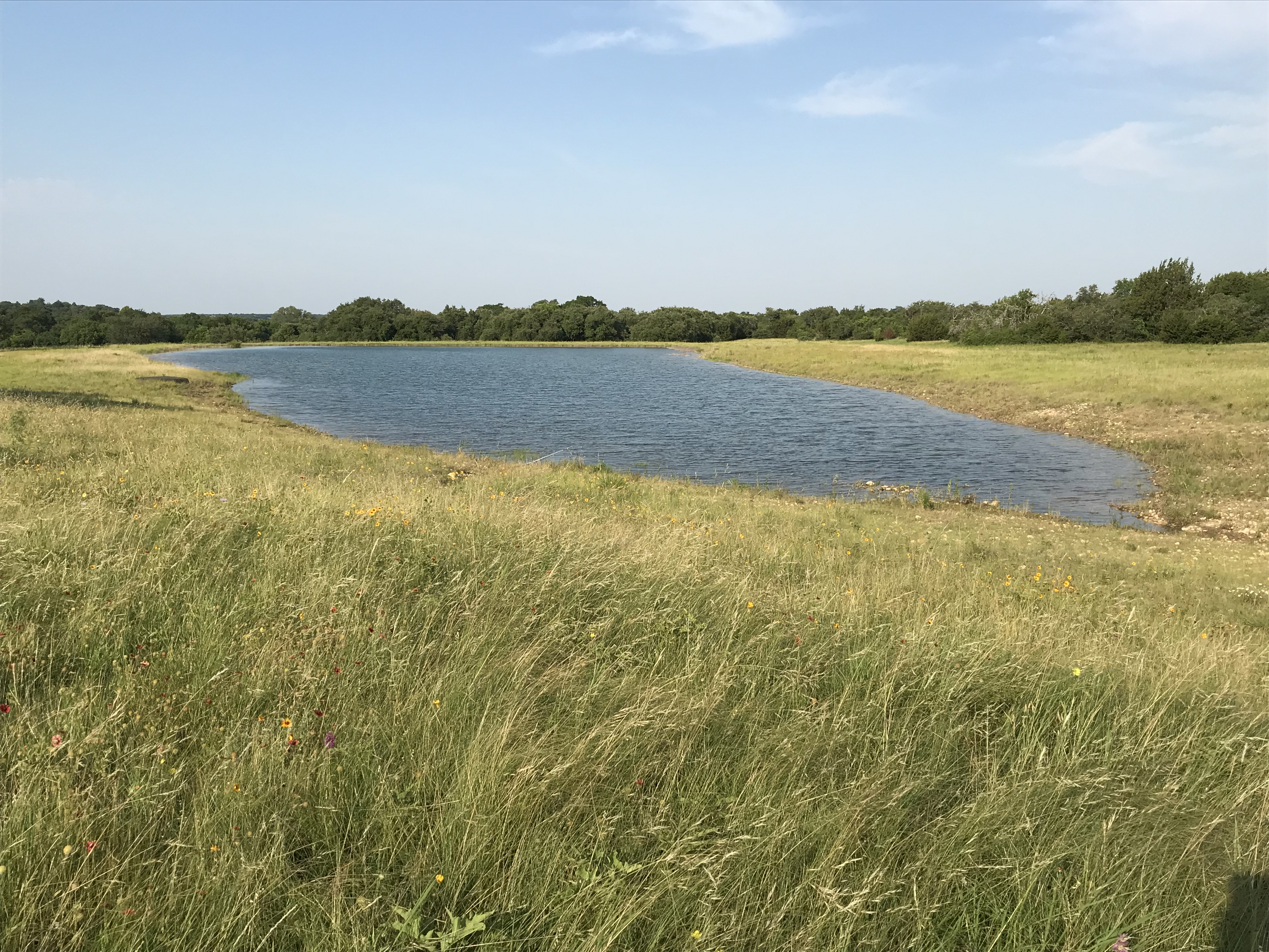 Comanche Springs Ranch | Lee, Lee & Puckitt Associates, Inc.