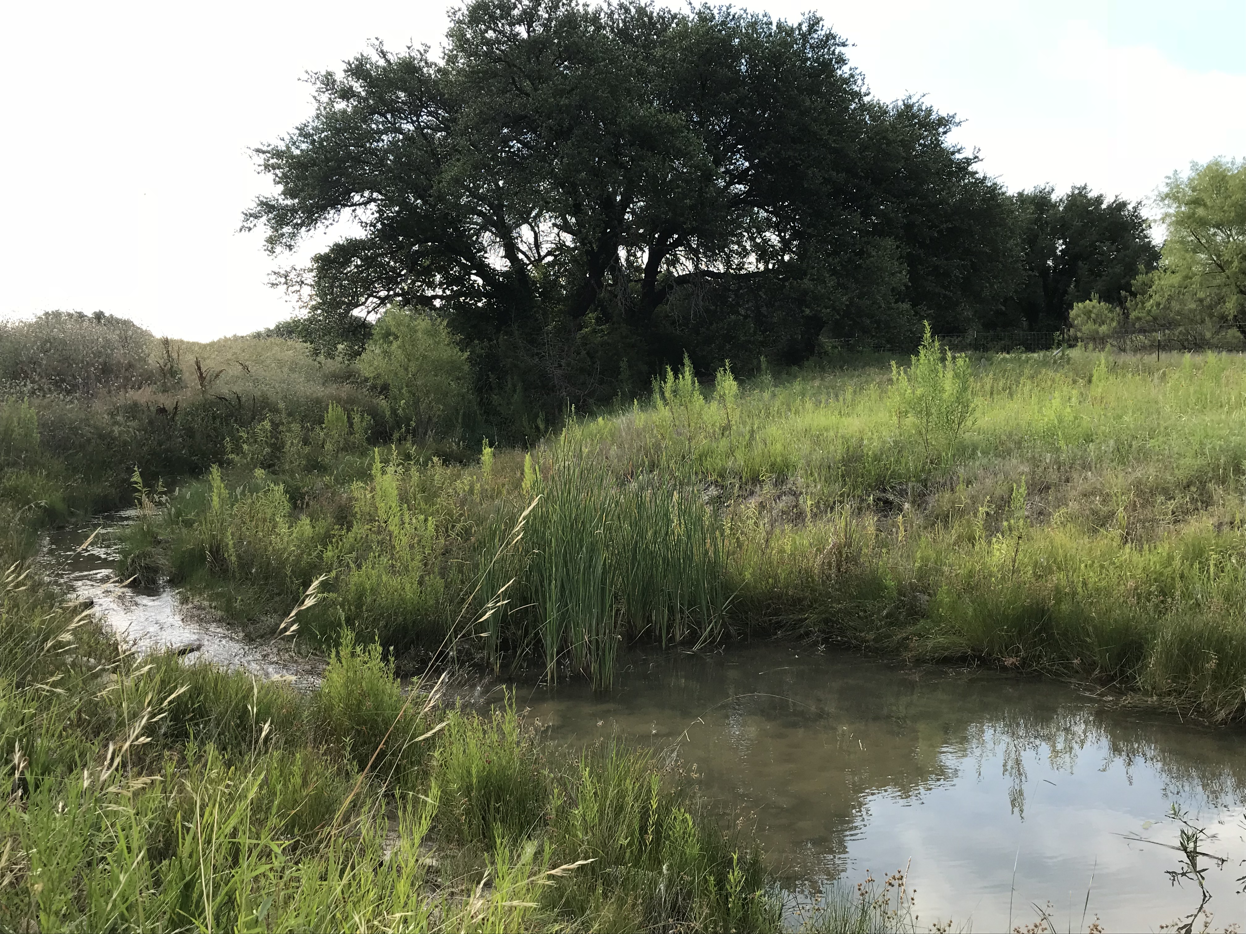 Comanche Springs Ranch | Lee, Lee & Puckitt Associates, Inc.