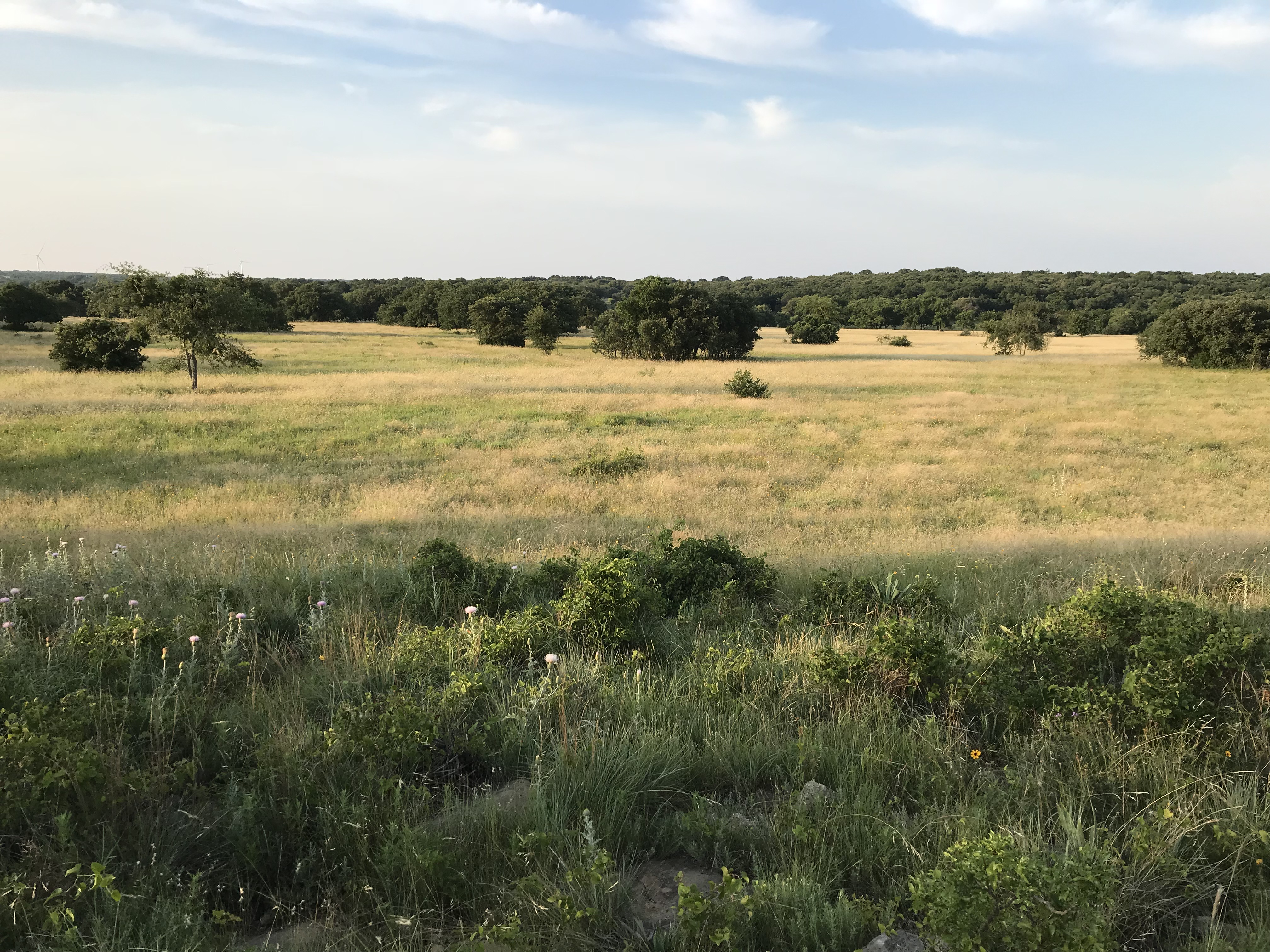 Comanche Springs Ranch | Lee, Lee & Puckitt Associates, Inc.