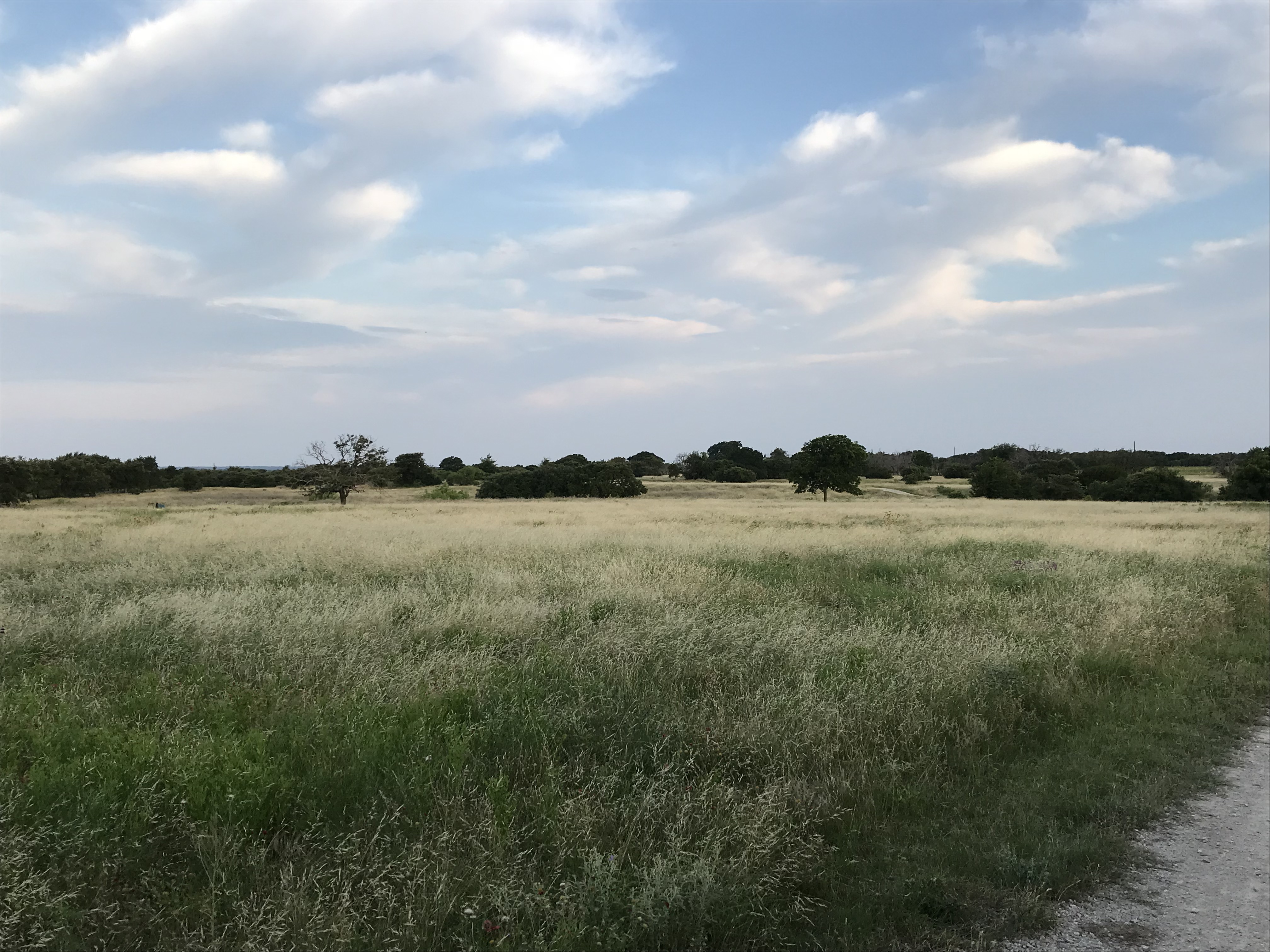 Comanche Springs Ranch | Lee, Lee & Puckitt Associates, Inc.
