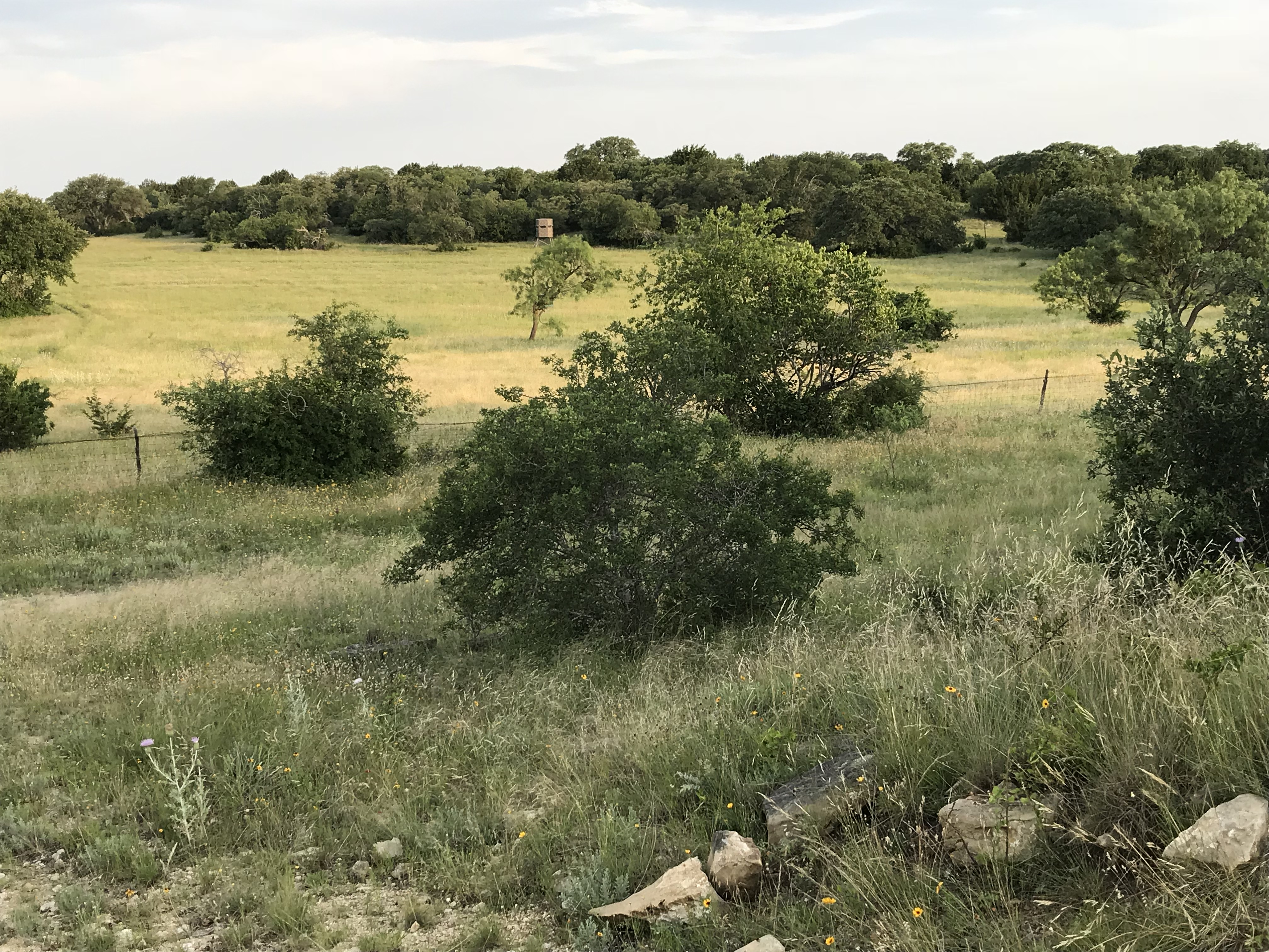 Comanche Springs Ranch | Lee, Lee & Puckitt Associates, Inc.