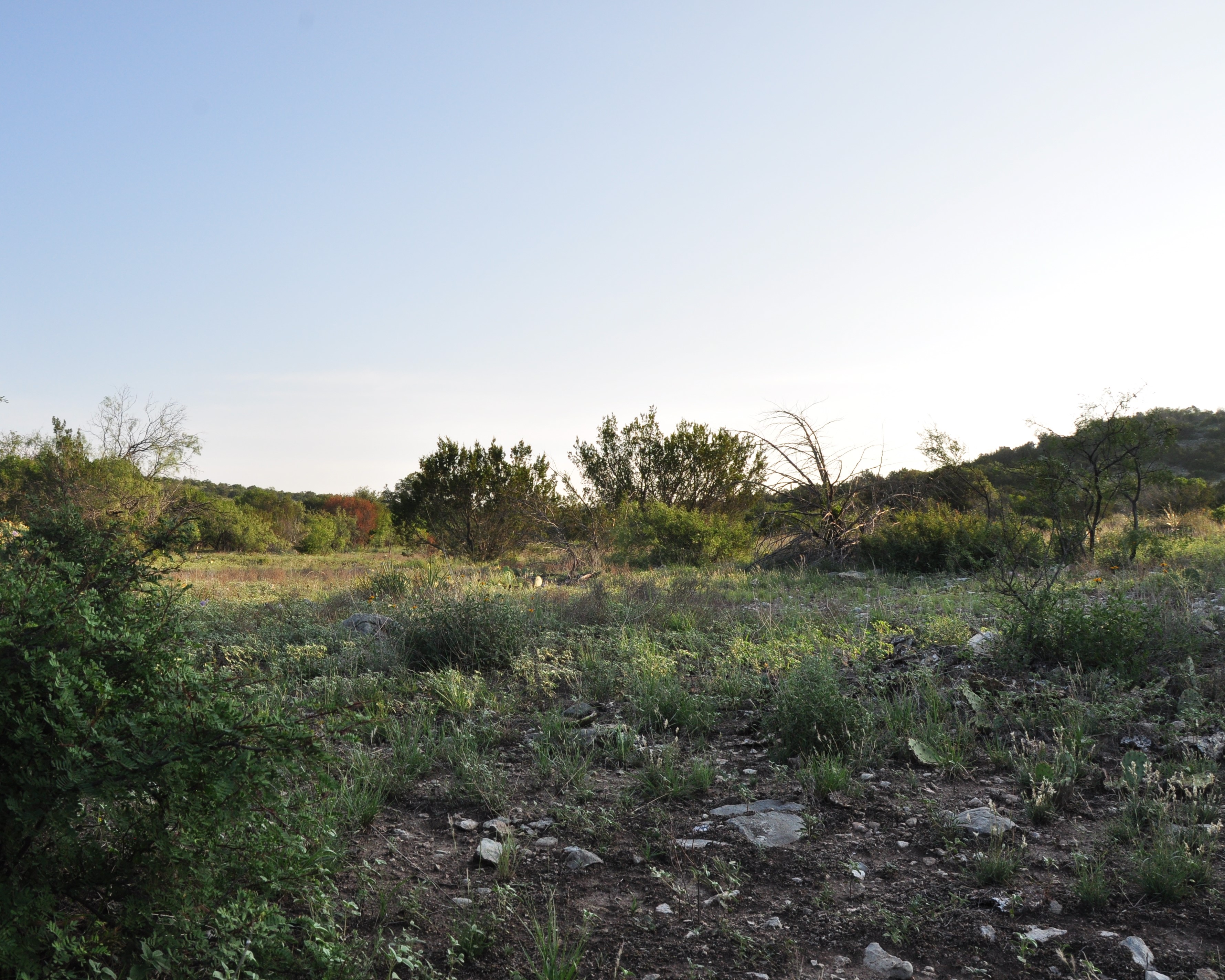 FFT Sutton County Ranch | Lee, Lee & Puckitt Associates Inc.