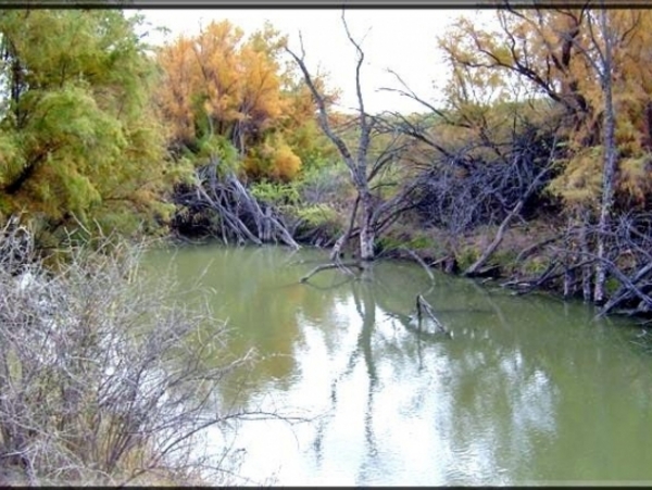 Ft. Quitman Land Co. | Lee, Lee & Puckitt Associates, Inc.