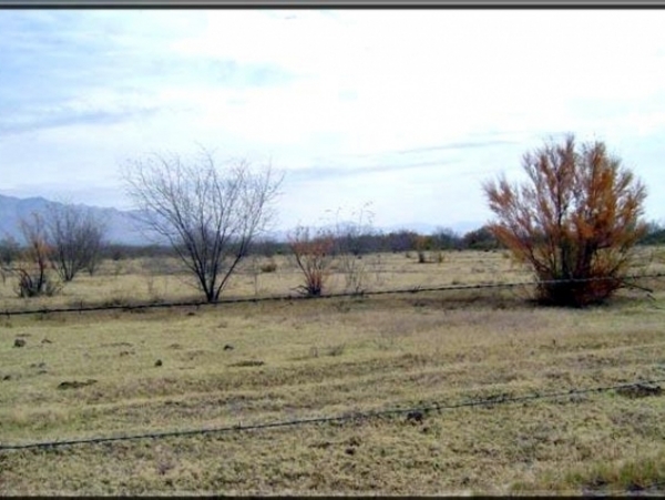 Ft. Quitman Land Co. | Lee, Lee & Puckitt Associates, Inc.