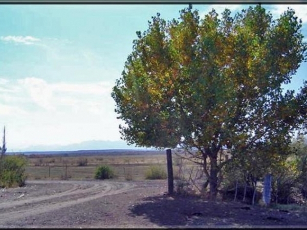 Ft. Quitman Land Co. | Lee, Lee & Puckitt Associates, Inc.