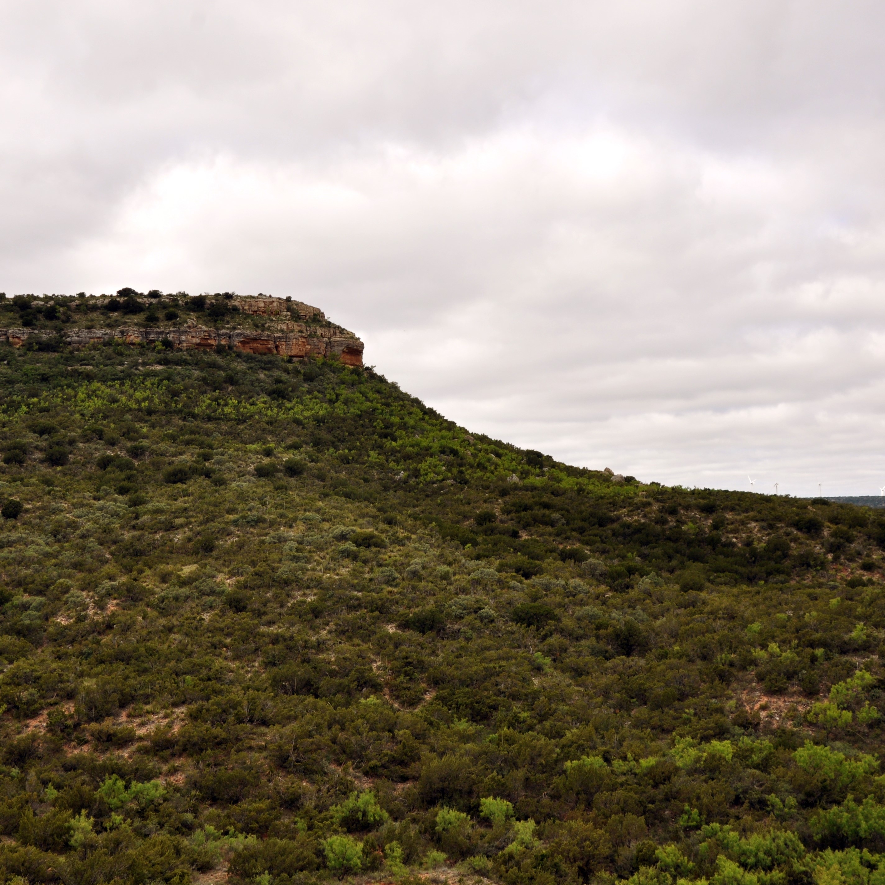 Goat Mountain Ranch | Lee, Lee & Puckitt Associates, Inc.