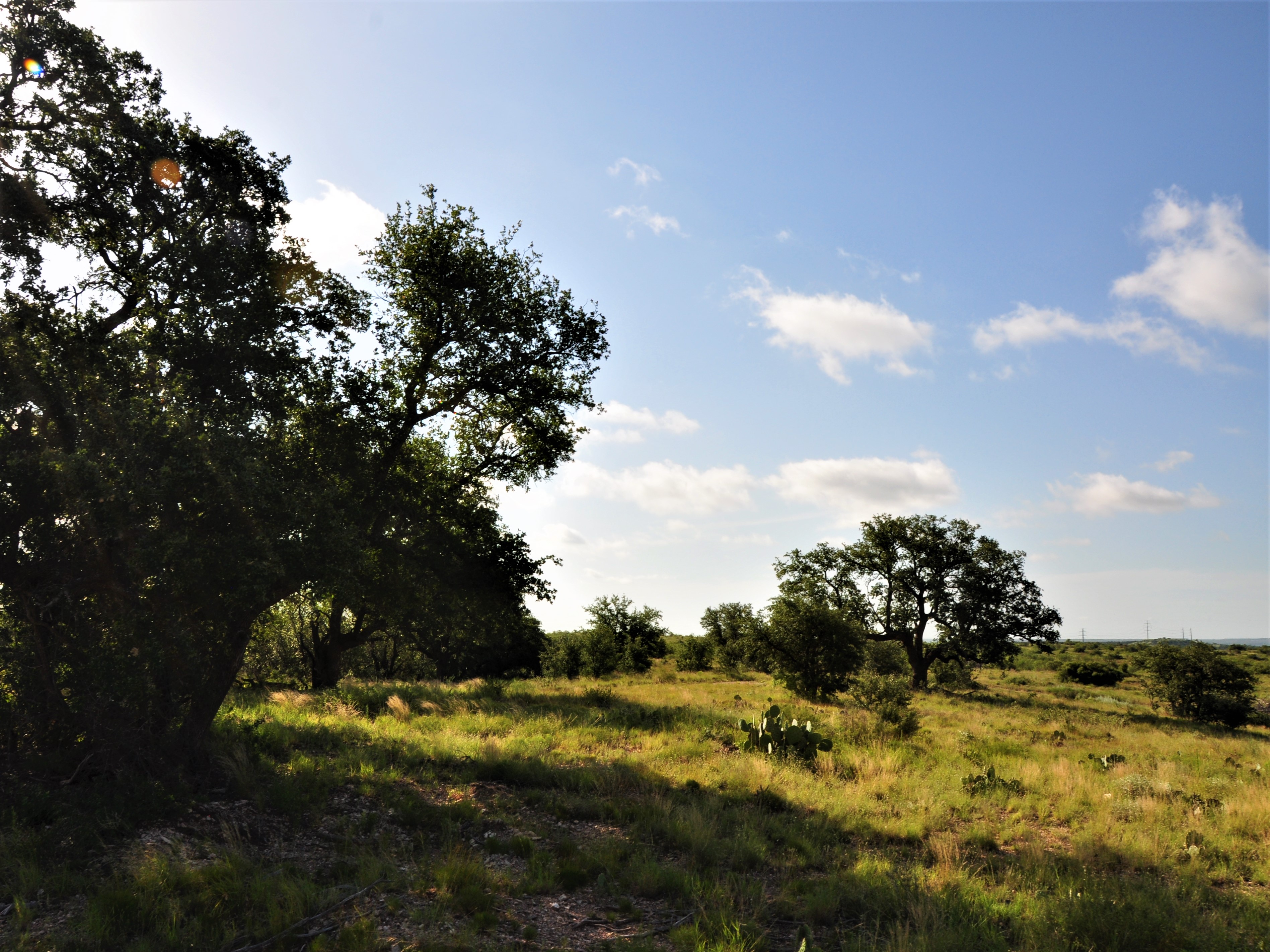 H2 Ranch | Lee, Lee & Puckitt Associates, Inc.