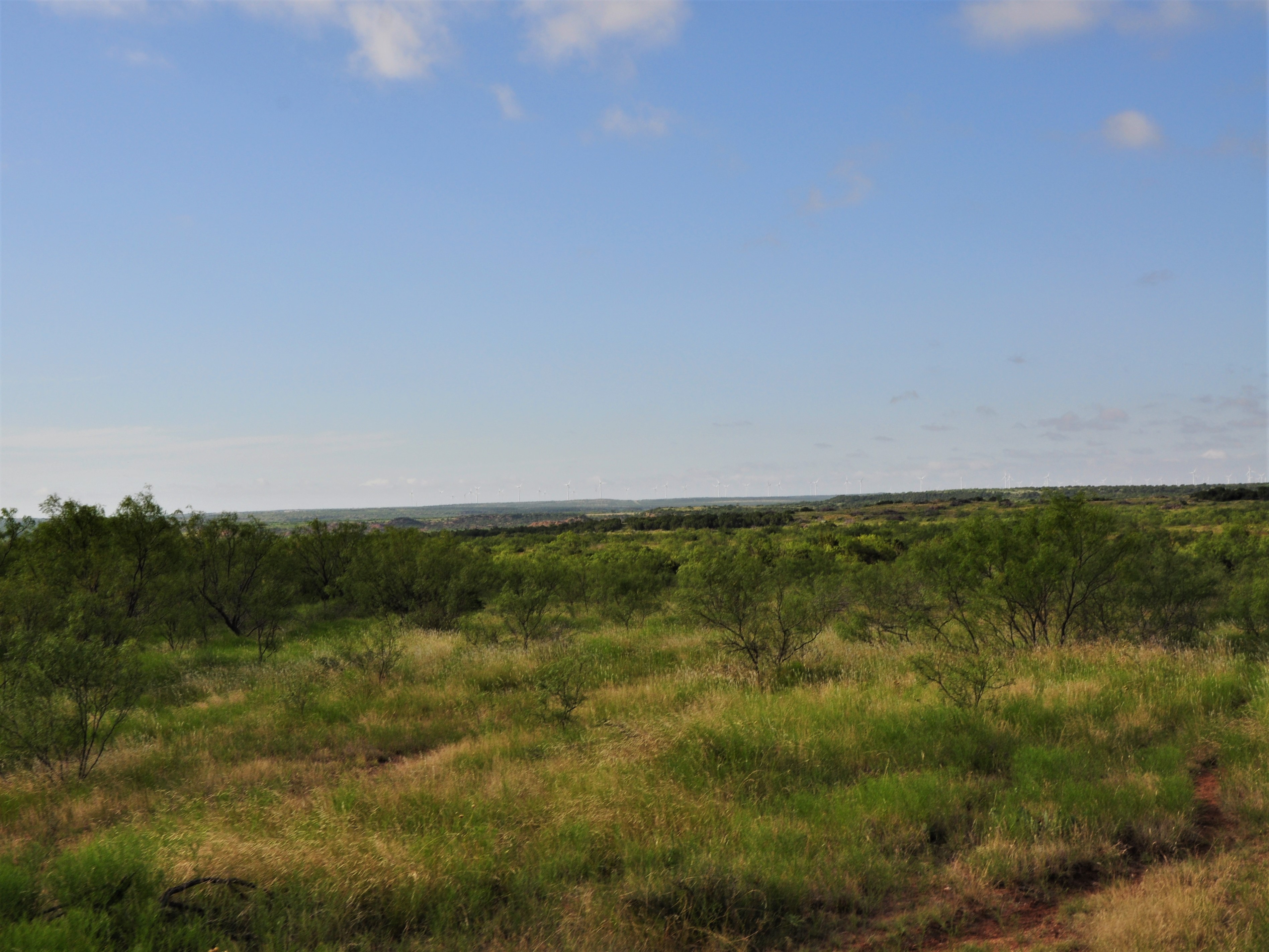 H2 Ranch | Lee, Lee & Puckitt Associates, Inc.