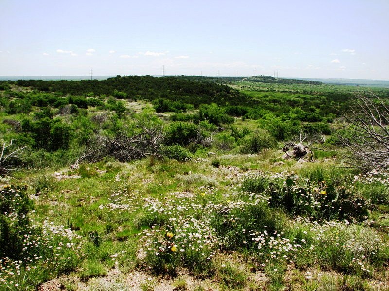 JH Ranch | Lee, Lee & Puckitt Associates Inc.