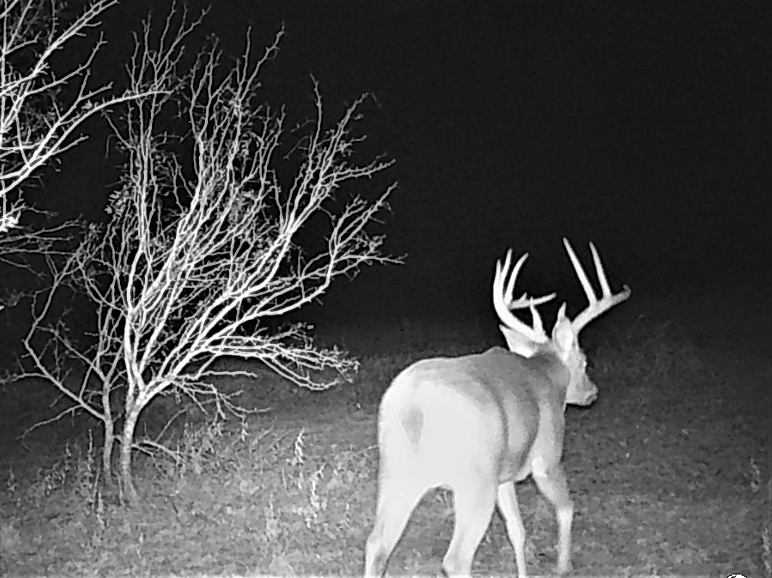 KW Ranch | Lee, Lee & Puckitt Associates Inc.