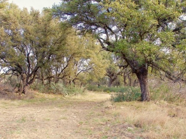 Lazy K Ranch | Lee, Lee & Puckitt Associates, Inc.