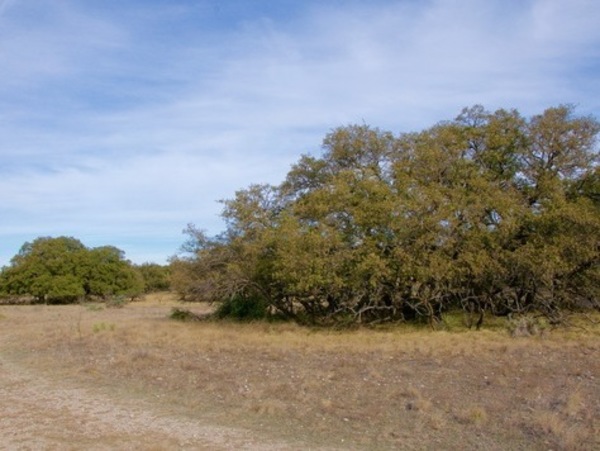 Lazy K Ranch | Lee, Lee & Puckitt Associates, Inc.