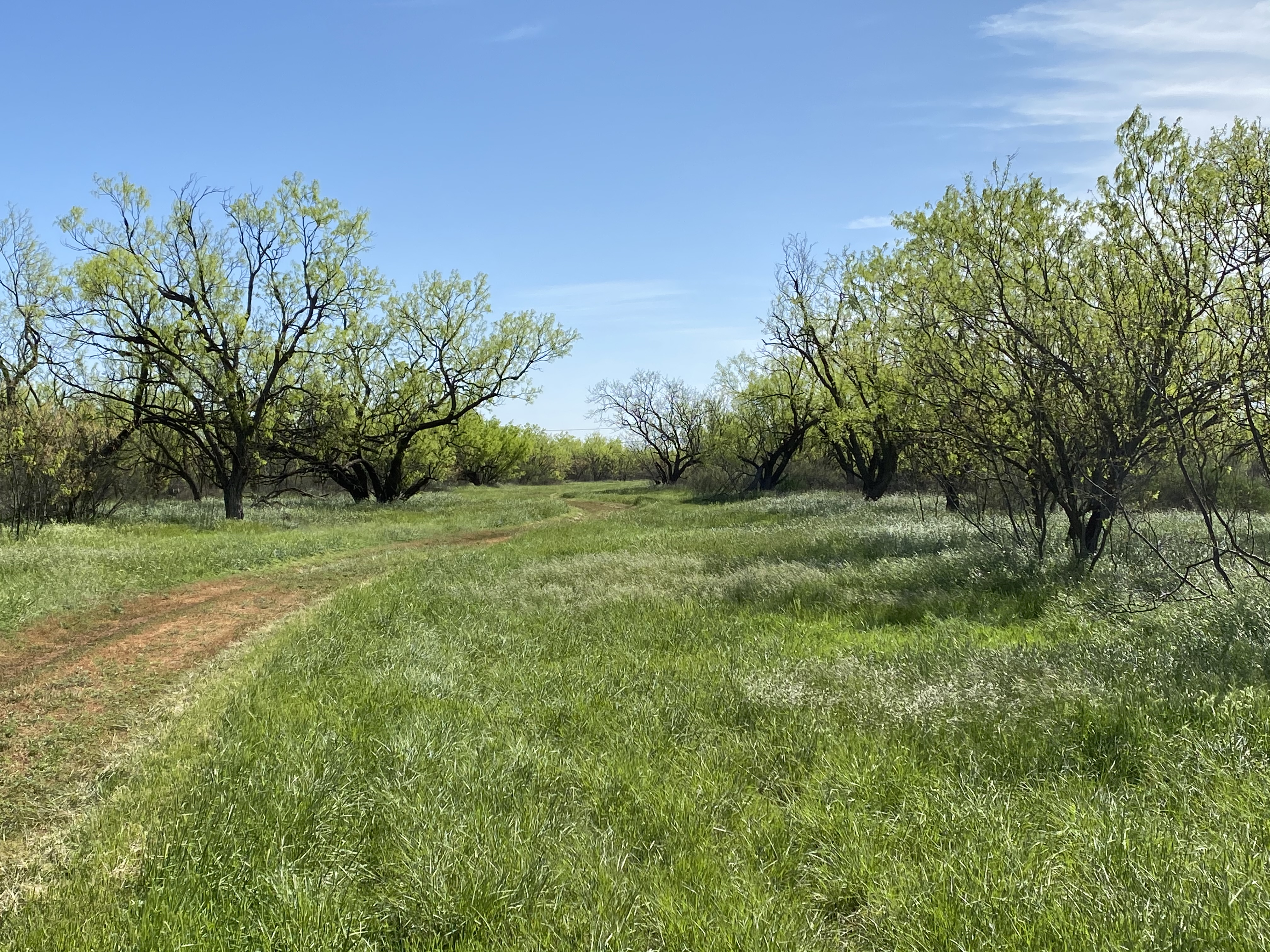 Triple Creek Ranch | Lee, Lee & Puckitt Associates Inc.