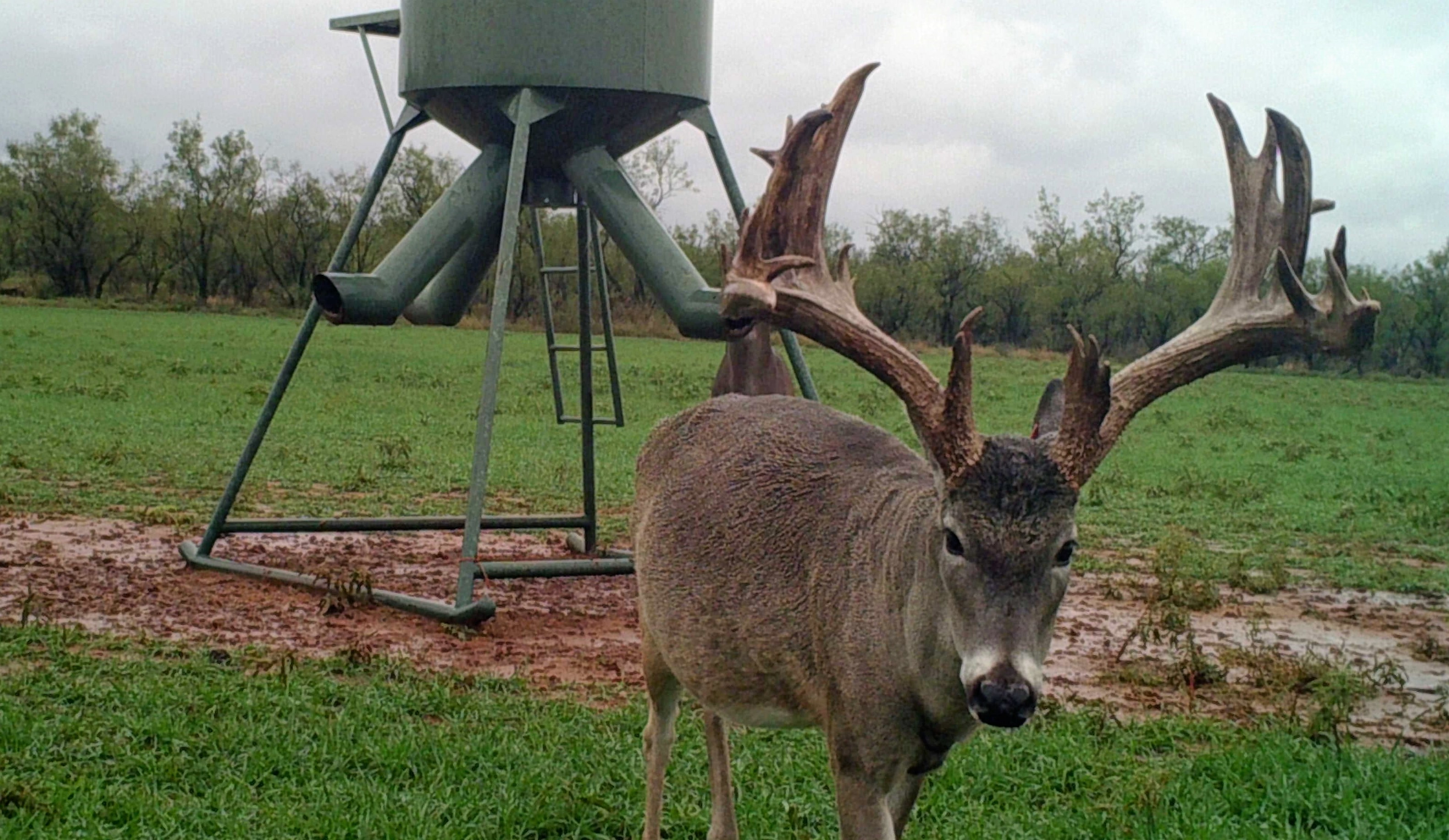Triple Creek Ranch | Lee, Lee & Puckitt Associates Inc.