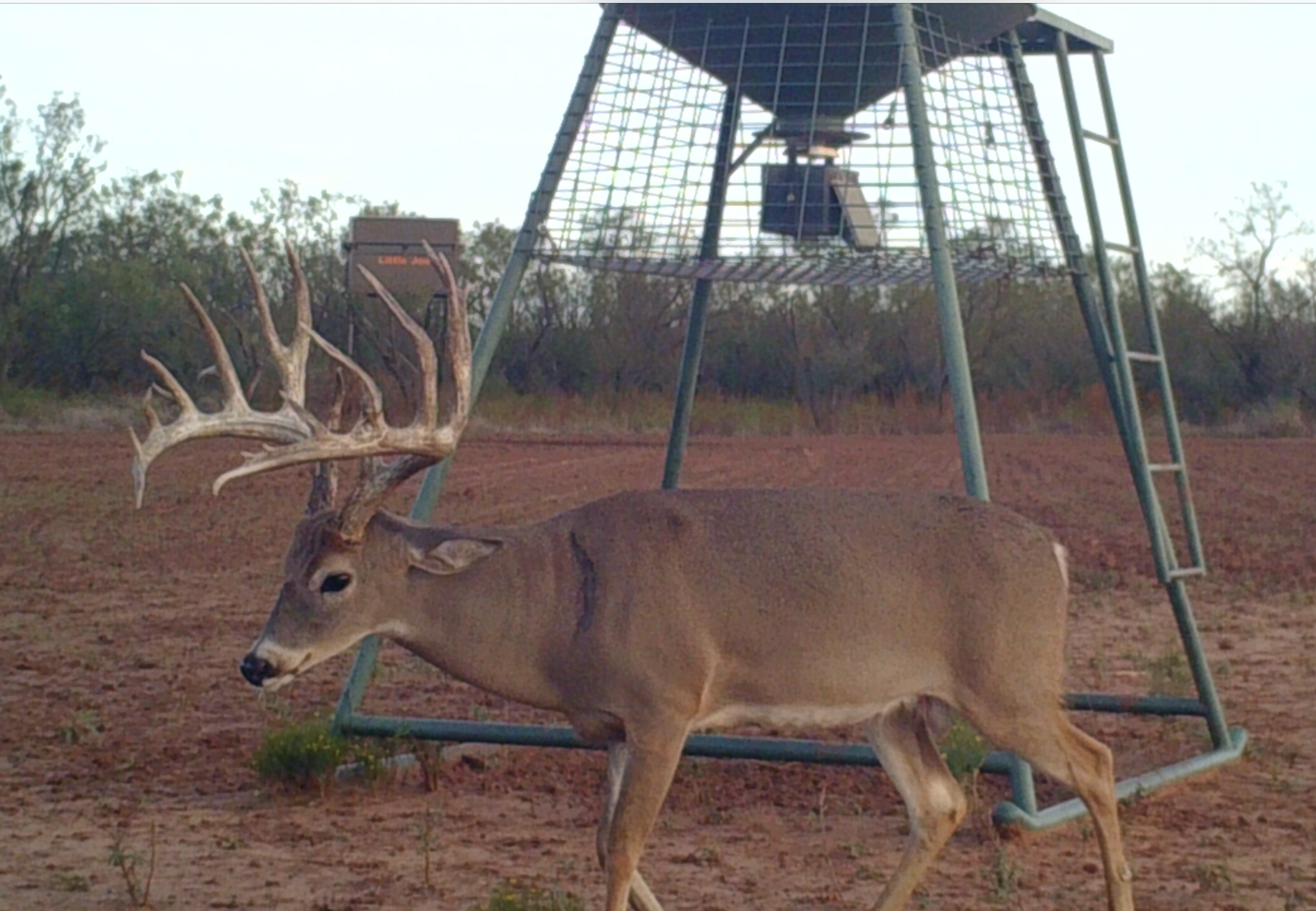 Triple Creek Ranch | Lee, Lee & Puckitt Associates Inc.