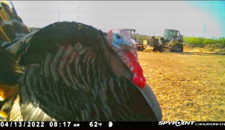 Turkey Track Ranch | Lee, Lee & Puckitt Associates Inc.